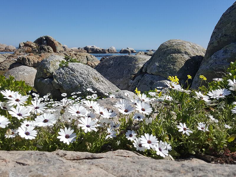 Things to do in Paternoster - Paternoster Villas Holiday Accommodation ...